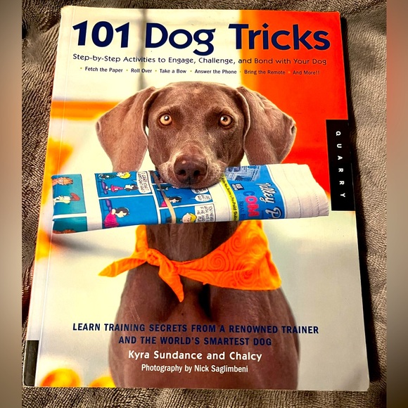 Accents | 11 Dog Tricks | Poshmark
